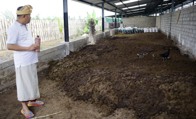 Efektivitas Kohe Sapi Fermentasi EM4 Terhadap Pertumbuhan Dan Kesuburan ...